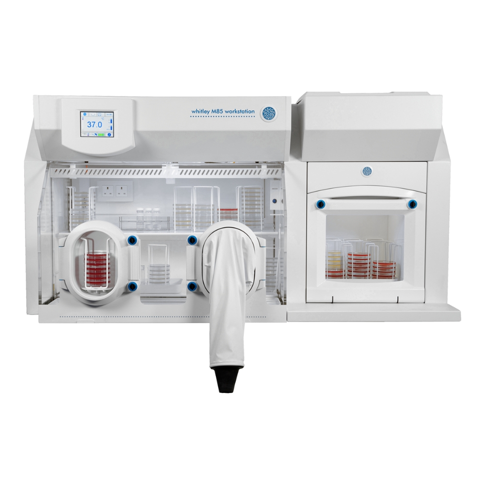 M85 Workstation | Don Whitley Scientific | Mason Technology